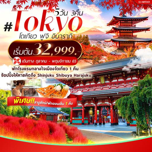 Tokyo-Fuji-Ibaraki 5D 3N